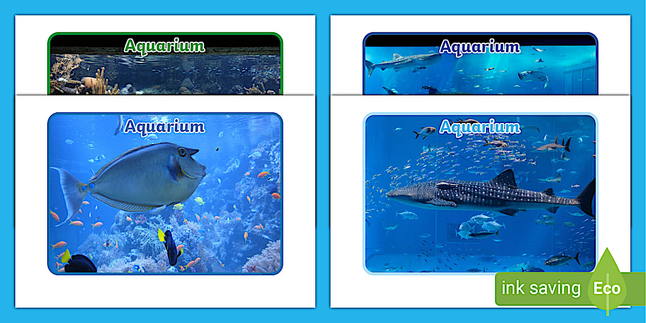 Aquarium Photo Pack (teacher made) - Twinkl