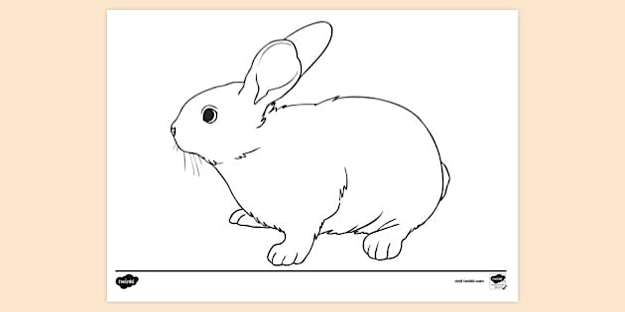 Rabbit Colouring Page for Children | Colouring Sheets