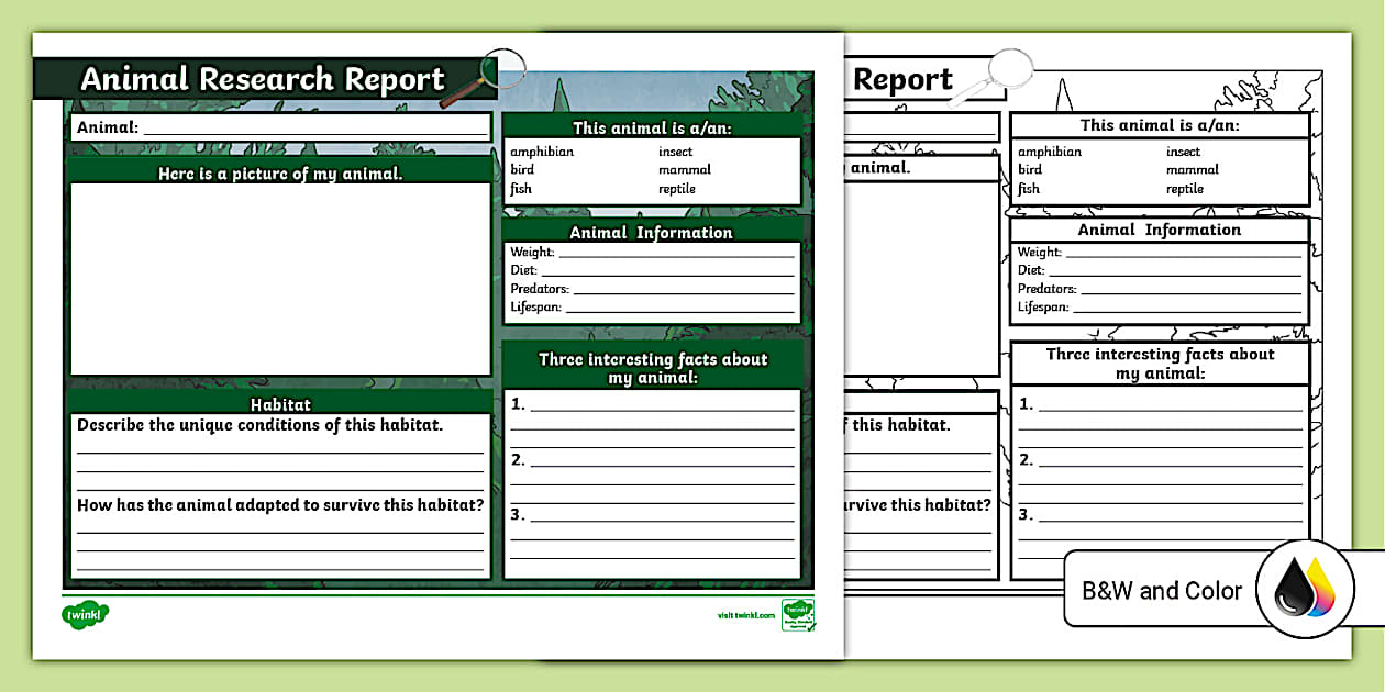 Animal Research Report for 3rd-5th Grade (teacher made)