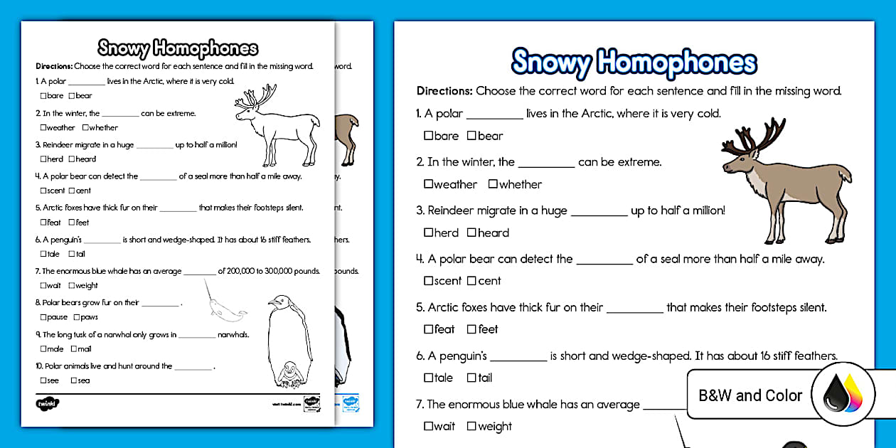 Second Grade Snowy Homophones Worksheet