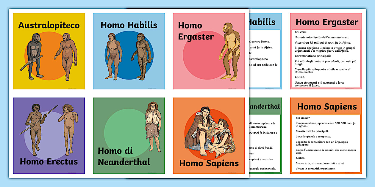 Ominidi e Ominini flashcards (teacher made) - Twinkl