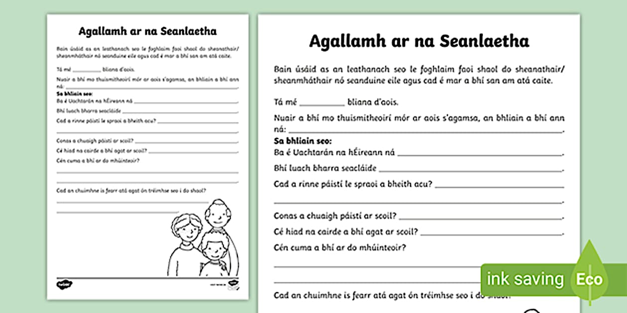 Back in My Day Grandparent Interview Worksheet Gaeilge