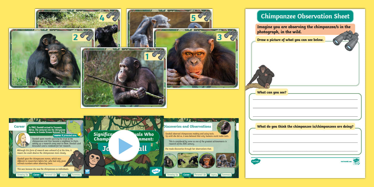 Environmental History Champions: Jane Goodall Resource Pack