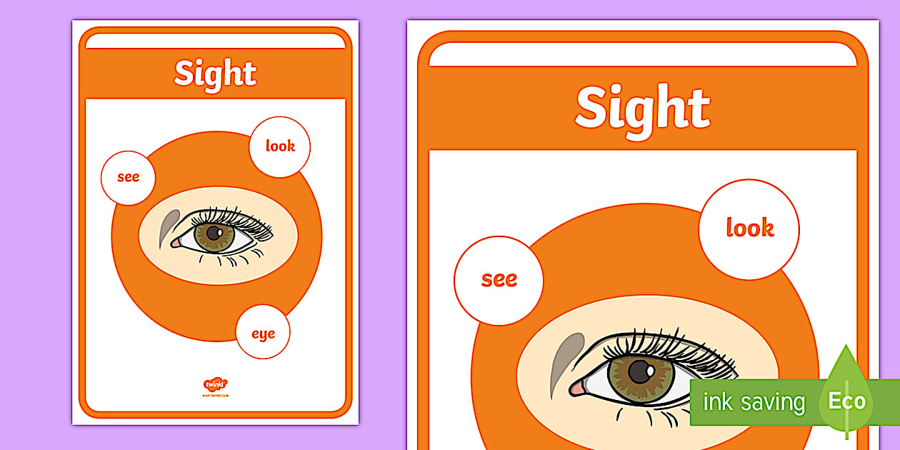 👉 KS1 The Five Senses Sight A4 Display Poster - Twinkl