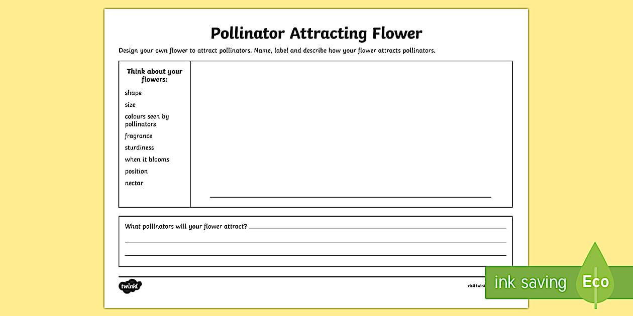 Design A Pollinator Attracting Flower Worksheet / Worksheet