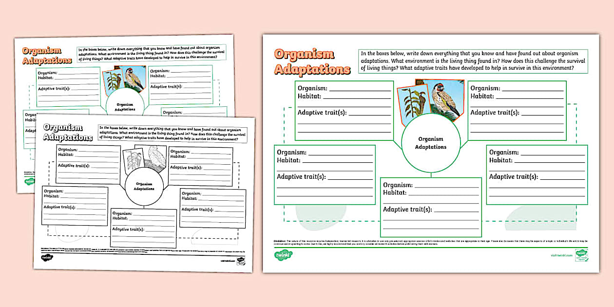 Organism Adaptations Mind Map (teacher made) - Twinkl