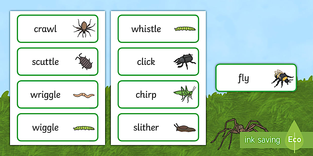 Editable Minibeasts Theme Verb Word Cards (teacher made)