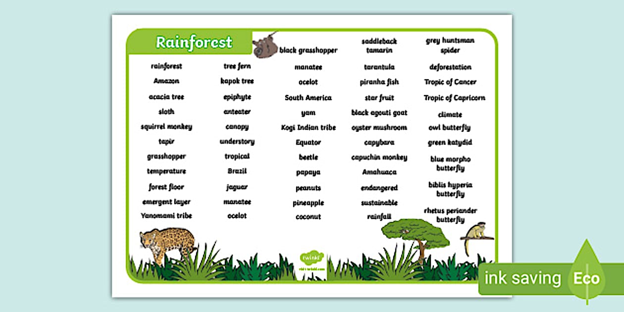 Editable Rainforest Word Mat (teacher made) - Twinkl