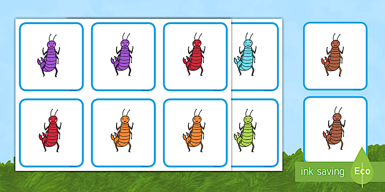 Earwig Themed Color Matching Cards (Teacher-Made) - Twinkl