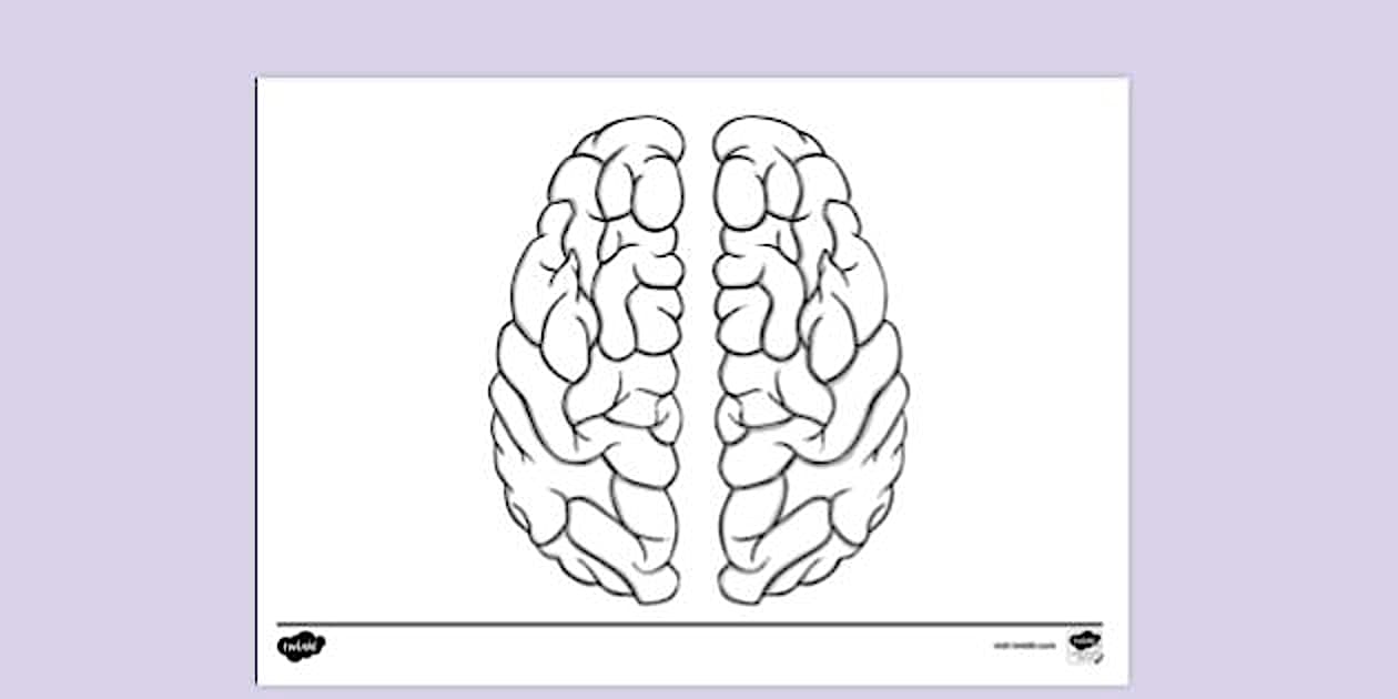 growth mindset brain Colouring | Colouring Sheets - Twinkl