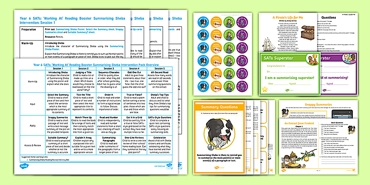 Year 6 SATs Survival: ‘Working At’ Reading Booster Summarising Sheba