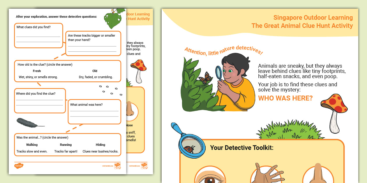 Outdoor Learning Animal Hunt Activity (teacher made)