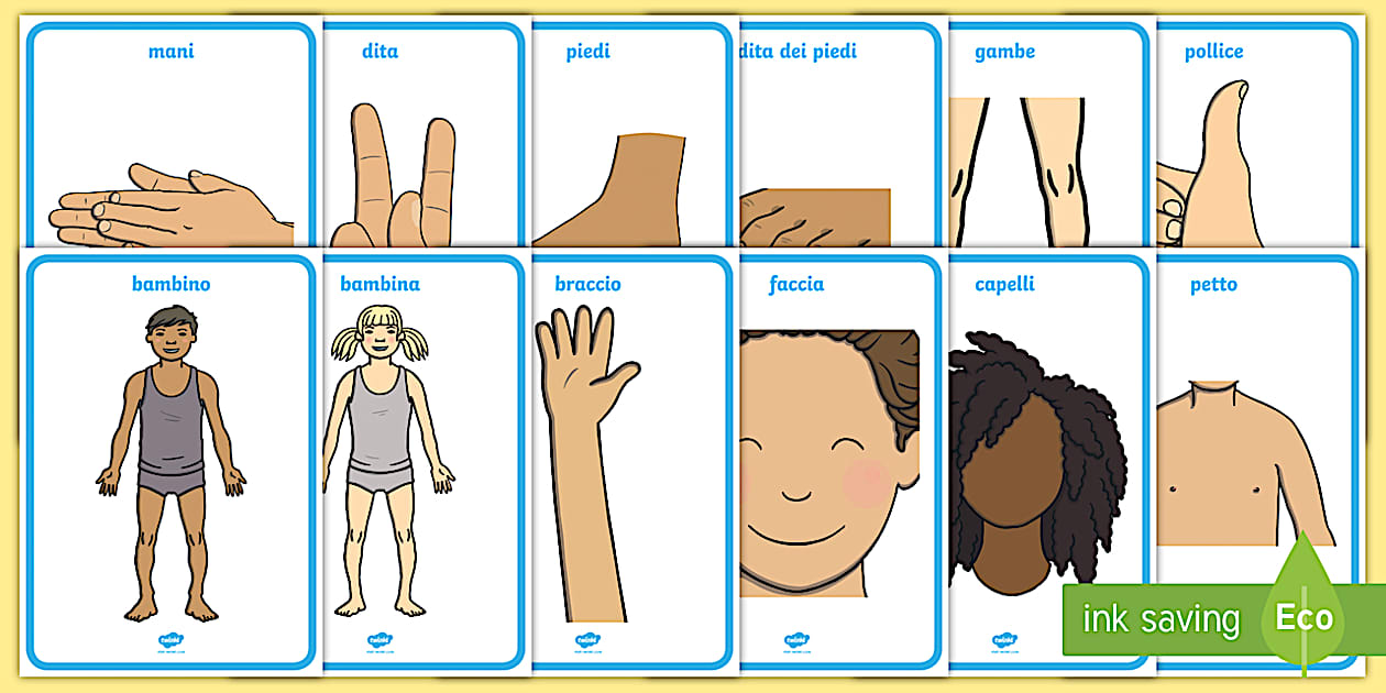 Parts of the Body Display Posters (Italian) (teacher made)