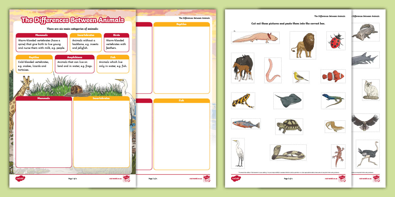 The Differences between Animals – Activity Sheet - Twinkl