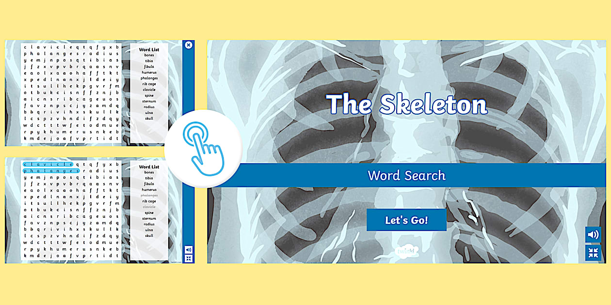 Interactive Skeleton Word Search Activity | Twinkl Go!