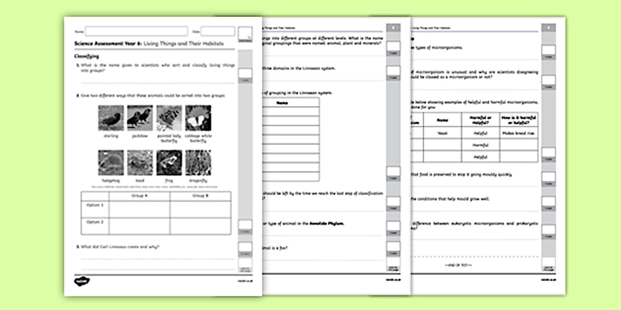 Living Things and Their Habitats Year 6 Assessment - Twinkl