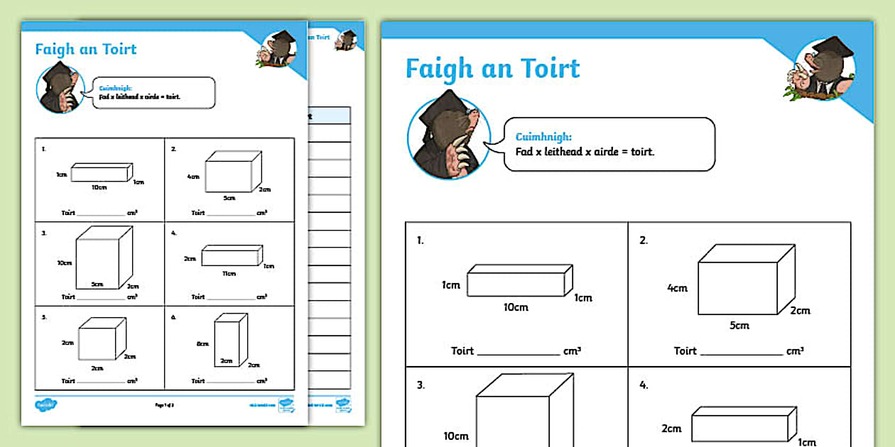 Faigh an Toirt (Teacher-Made) - Twinkl
