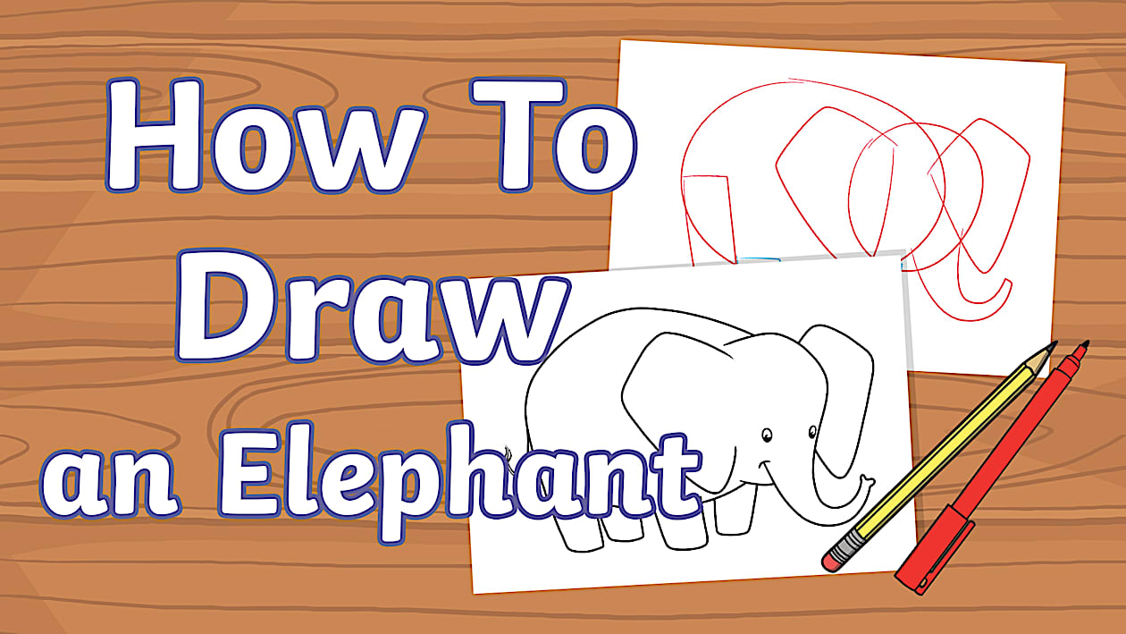 How to Draw an Elephant Art Animation | Twinkl Go