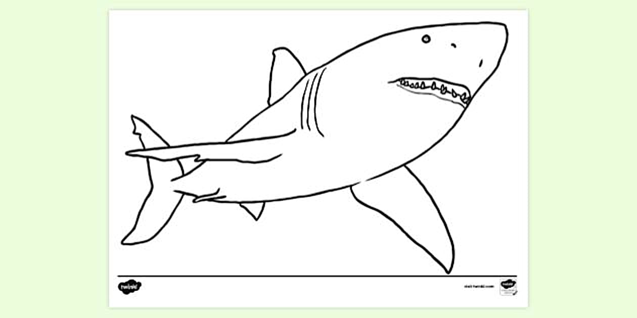 Shark Colouring | Colouring Sheets (teacher made) - Twinkl