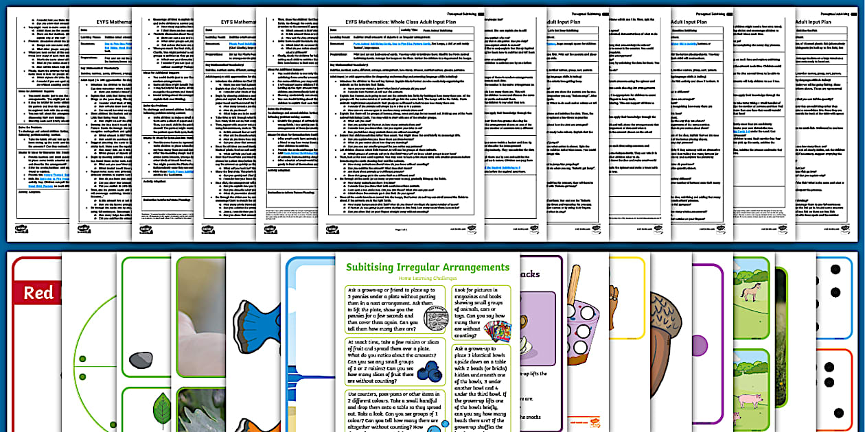 👉 Subitise Irregular Arrangements Adult Input Planning Pack
