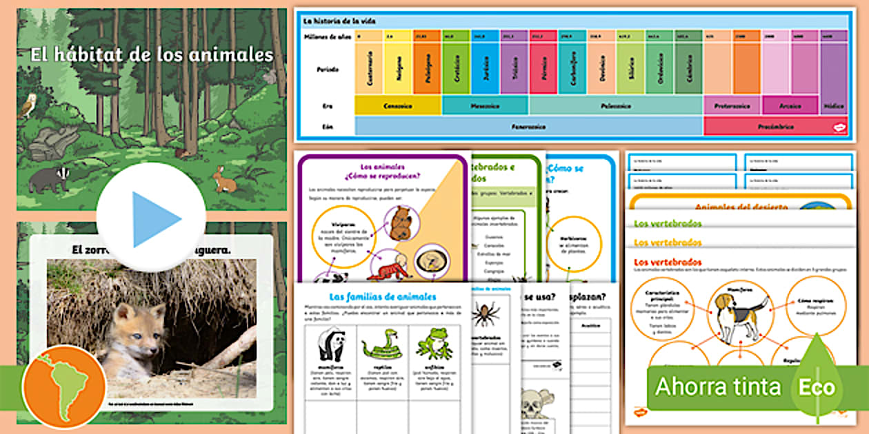 Paquete de recursos: Los animales (Hecho por educadores)