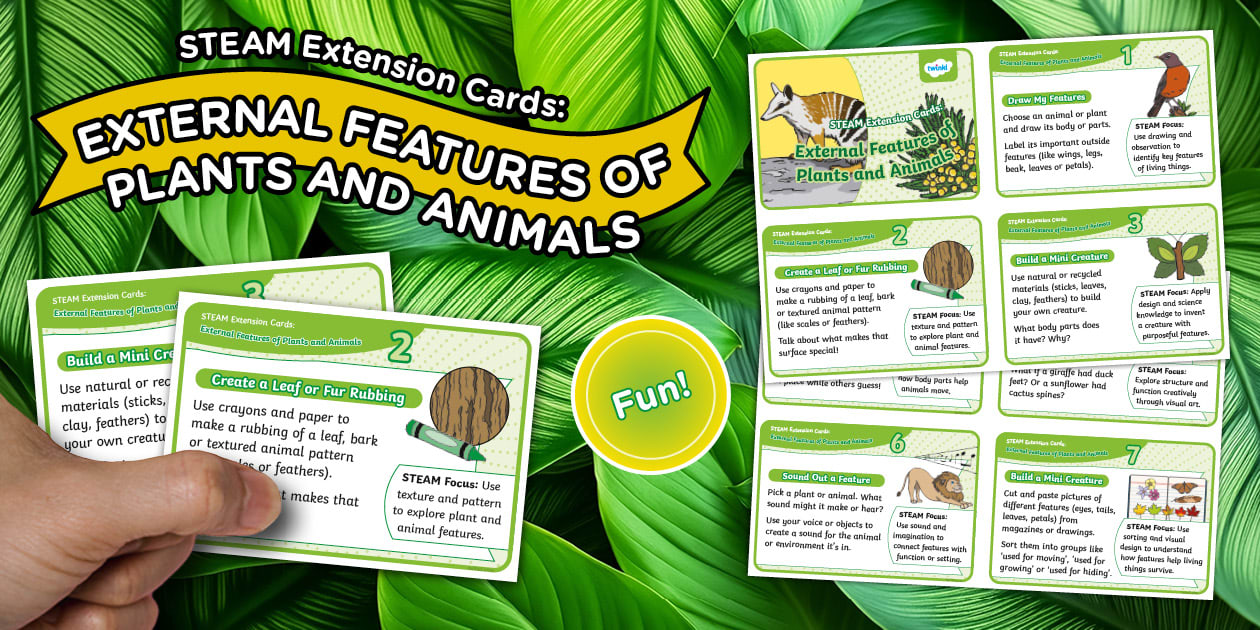 STEAM Cards: External Features of Plants and Animals