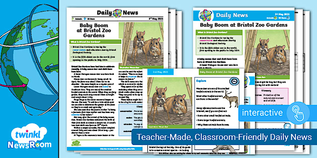Mouse Deer Reading Comprehension | Twinkl NewsRoom Resource