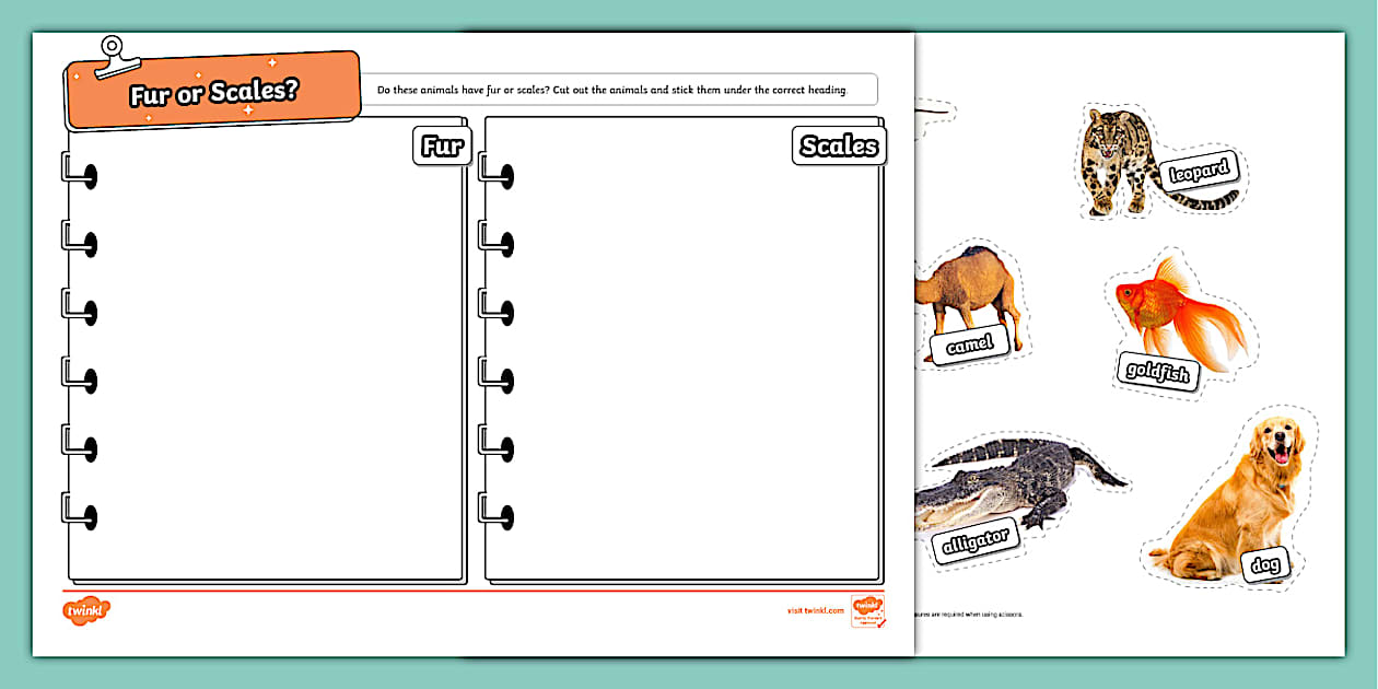 Fur or Scales? Animal Sorting Activity - Twinkl - KS1