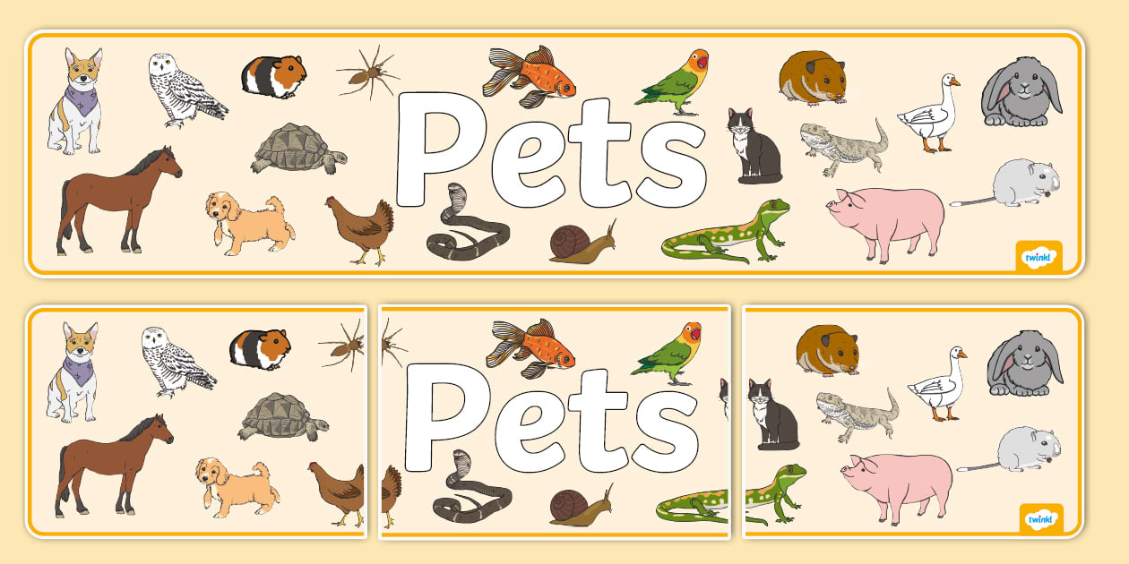 Pets Display Banner (teacher made) - Twinkl