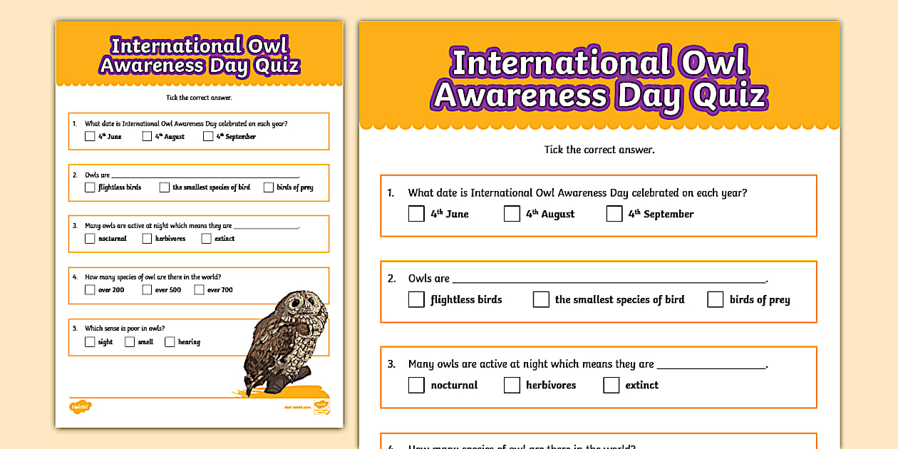 KS2 International Owl Awareness Day Quiz (teacher made)