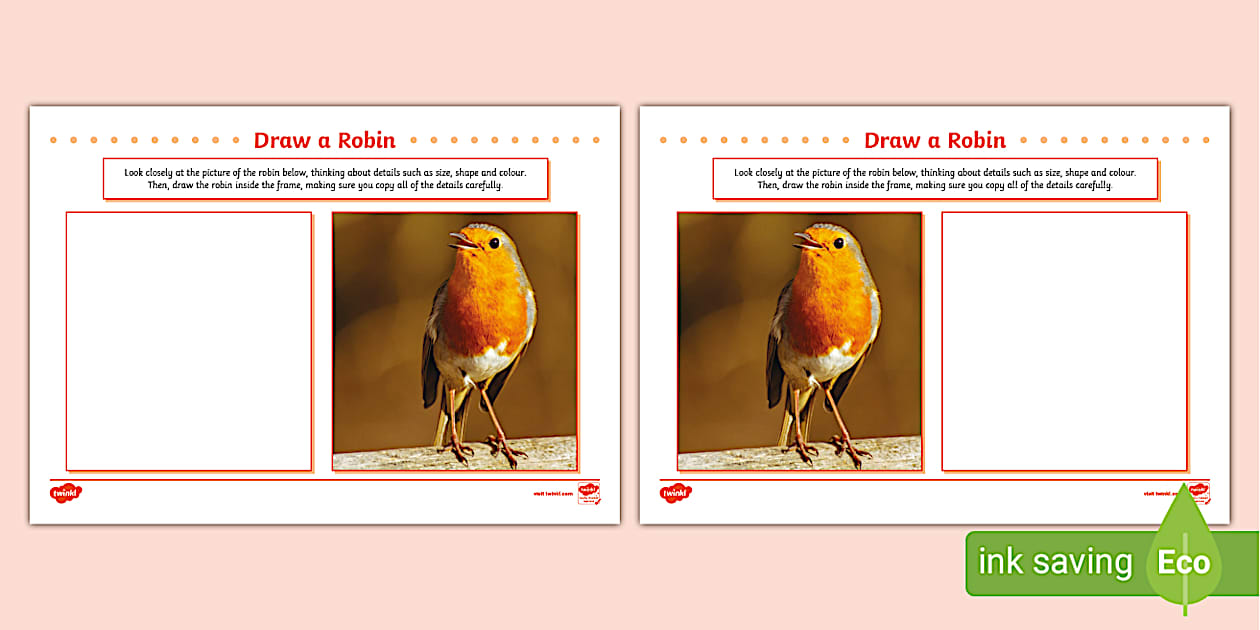 Draw a Robin Art Activity (teacher made) - Twinkl