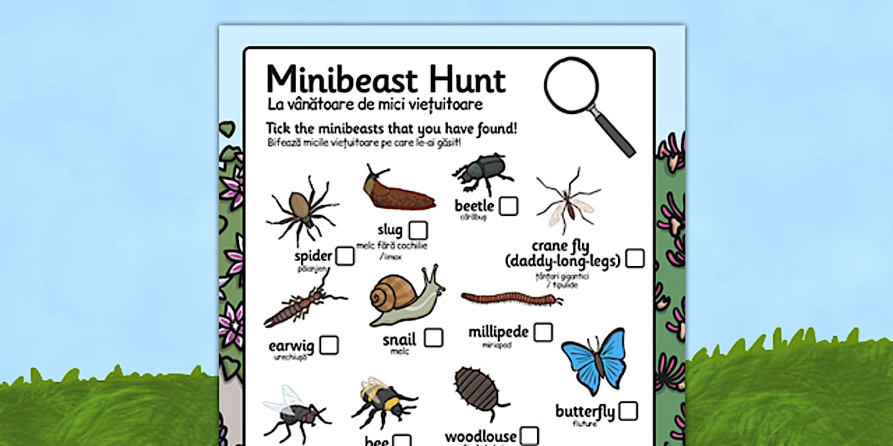 Minibeast Hunt Sheet Romanian Translation - Twinkl