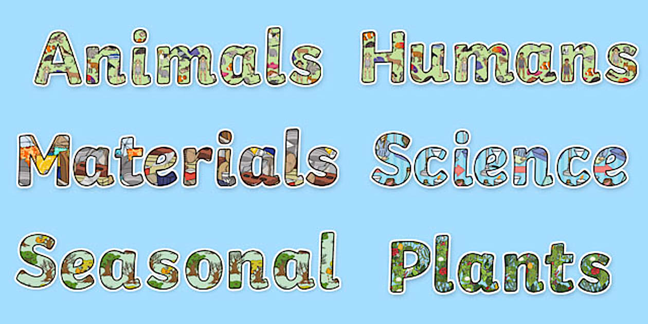 Year 1 Science Display Lettering Resource Pack - Twinkl