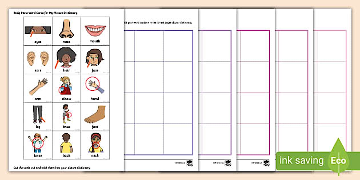 Picture Dictionary Body Parts Word Cards Pack (teacher made)