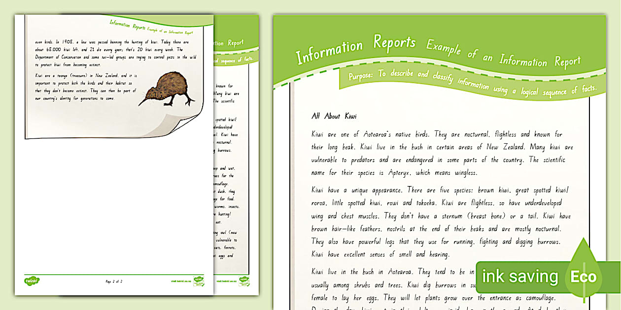 Level 3 (Phase 2) Writing - Information Report Exemplar