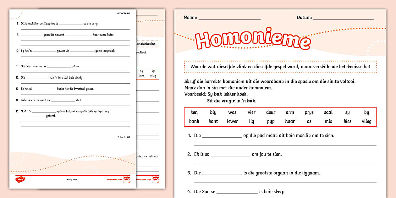Homonieme in Afrikaans Aktiwiteitsbladsy - Twinkl