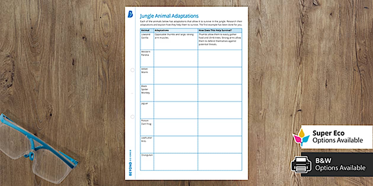 Jungle Animal Adaptations Worksheet | KS3 Biology | Beyond
