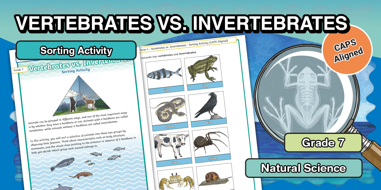 Grade 7 NS - Term 1 - Vertebrates vs. Invertebrates - Sorting Activity