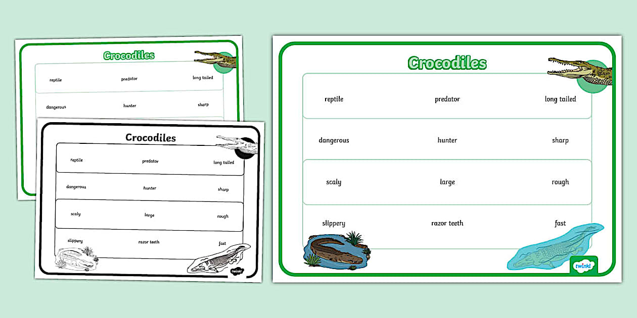 Crocodile Word Mat (Teacher-Made) - Twinkl