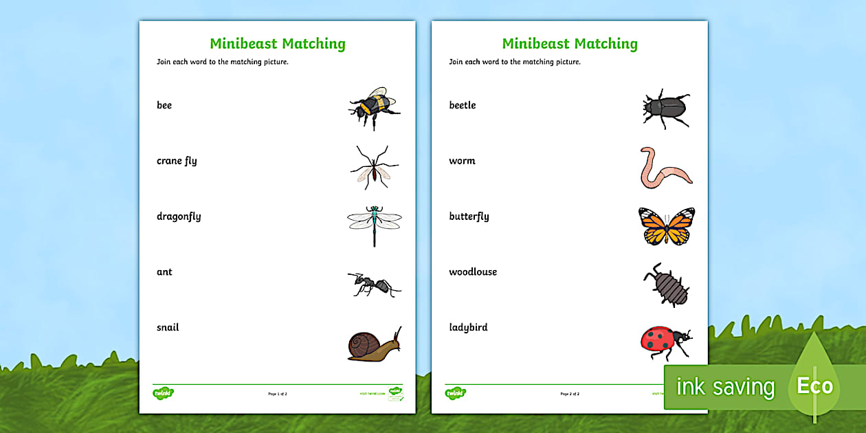Black and White Minibeast Word and Picture Matching Worksheets