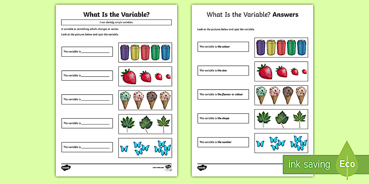 Whats The Variable Worksheet Worksheet Teacher Made