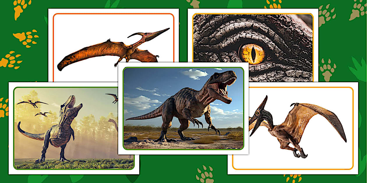 Dinosaur Photo Inspiration | Provocations for Play - Twinkl
