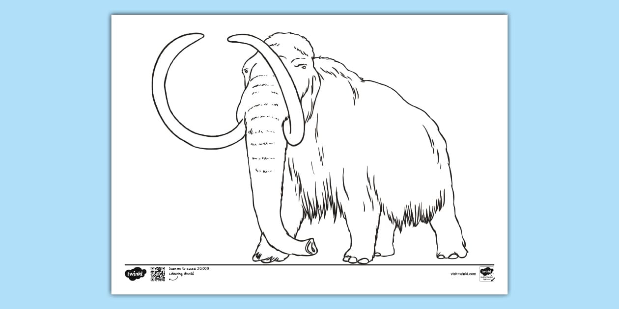 Woolly Mammoth Colouring | Colouring Sheets (teacher made)