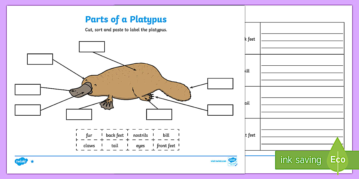 Editable Parts of a Platypus Worksheets (teacher made)