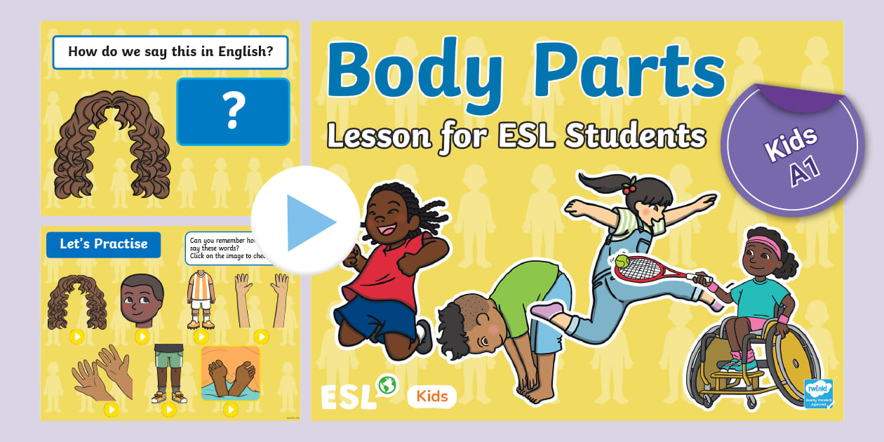 ESL Body Parts Lesson for Kids (teacher made) - Twinkl
