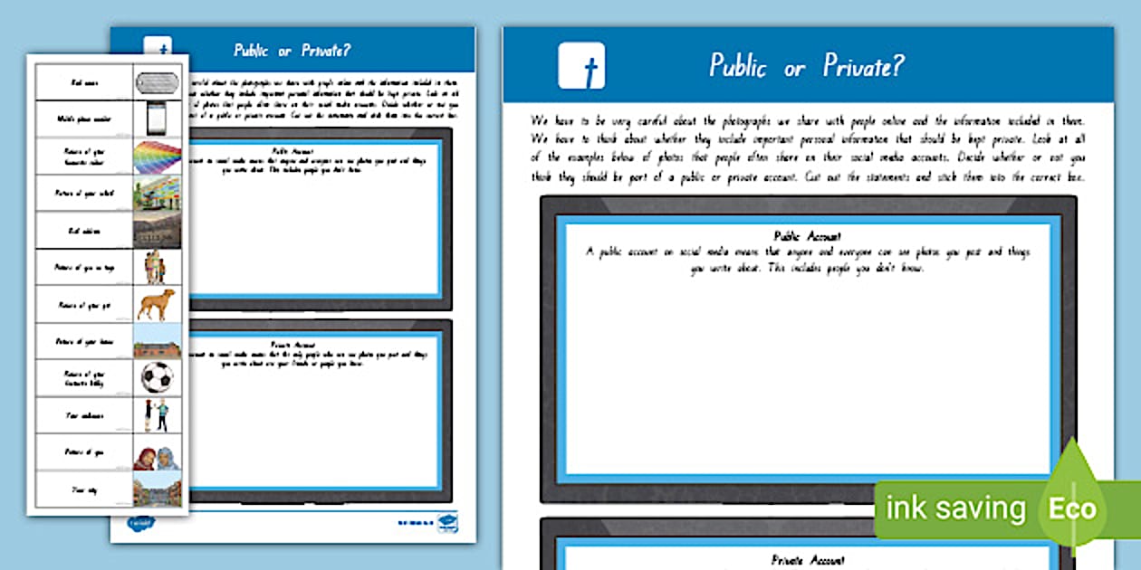 Public or Private? Internet Safety Activity (teacher made)