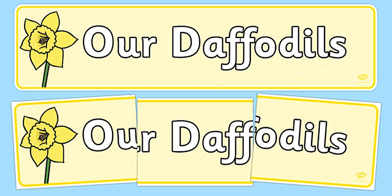 Our Daffodils Display Banner (Hecho por educadores) - Twinkl