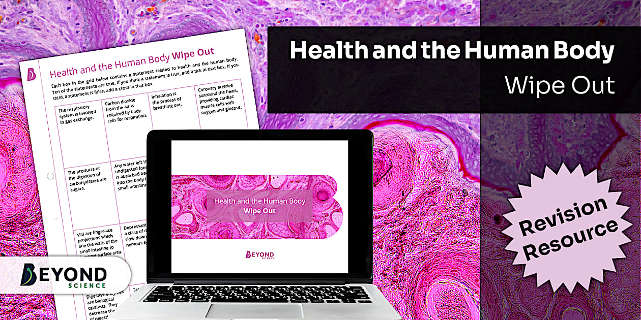 Health and the Human Body Wipe Out | KS3 Biology | Beyond