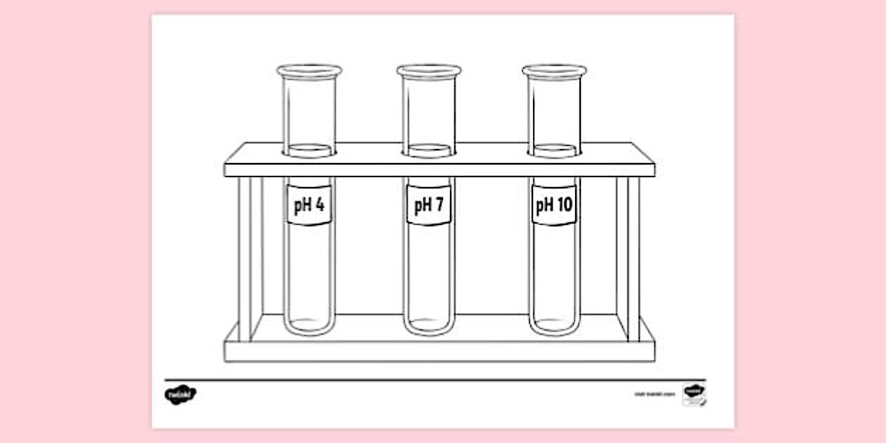 Test Tube Rack Colouring Sheet | Colouring Sheets - Twinkl