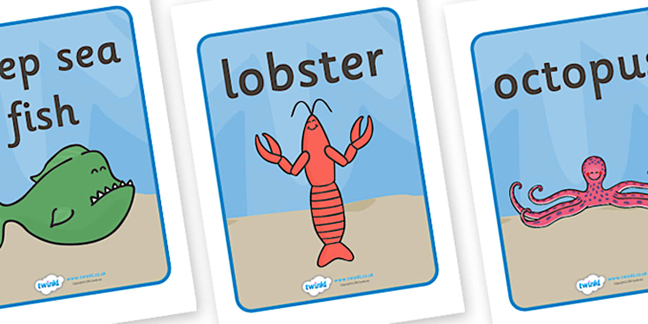 Display Posters to Support Teaching on Commotion In The Ocean